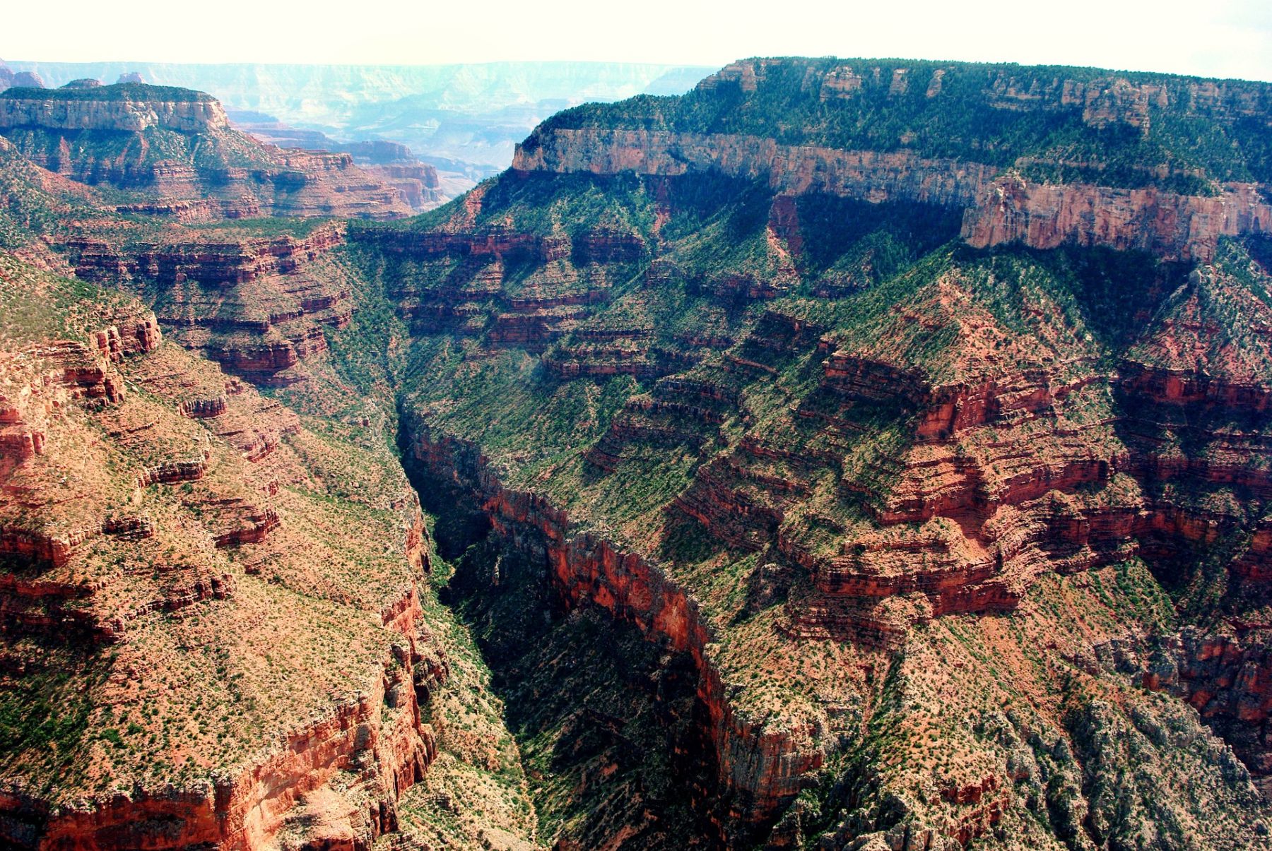 The Colorado River in Grand Canyon National Park | Rivers & Oceans