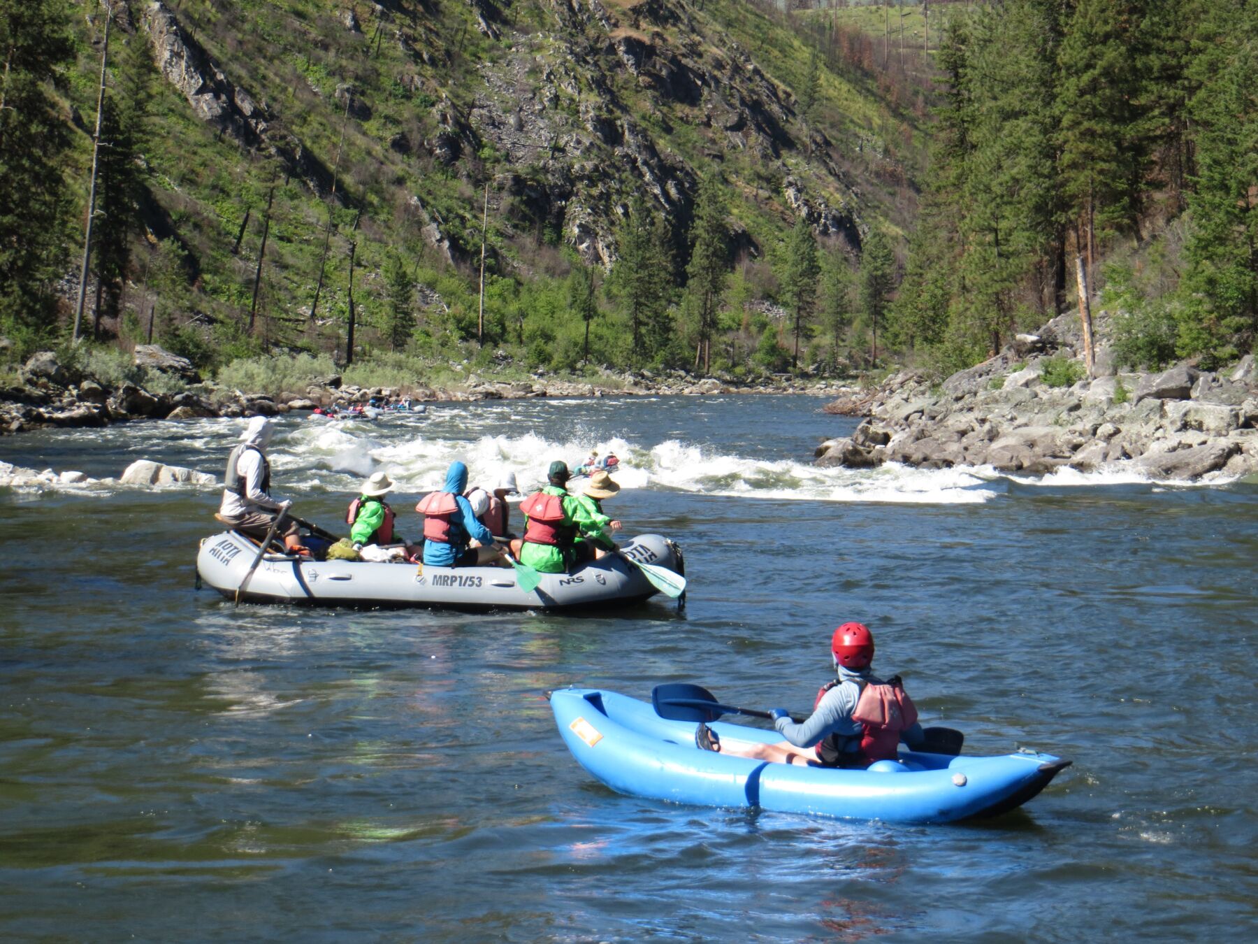Rapids and Wilderness: An Introduction to White Water Rafting