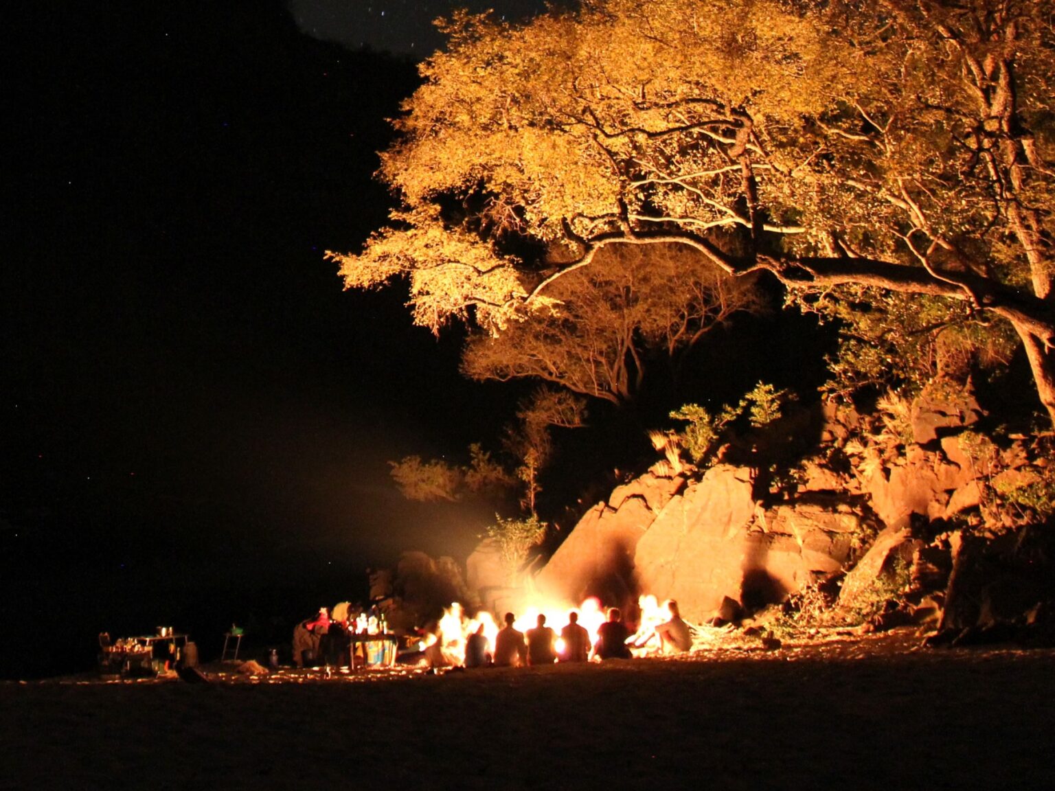 Rapids and Wilderness: An Introduction to White Water Rafting